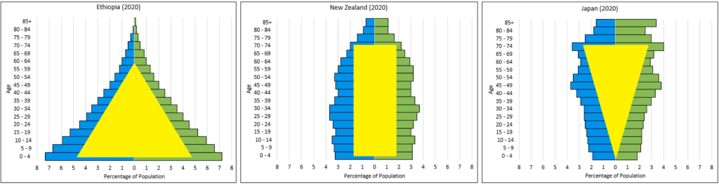 What is a Population Pyramid? - Population Education