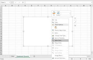 How to Build a Population Pyramid in Excel: Step-by-Step Guide ...