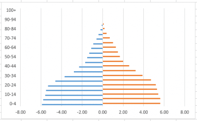 How to Build a Population Pyramid in Excel - Population Education