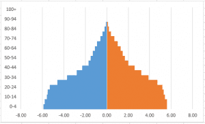 How to Build a Population Pyramid in Excel - Population Education