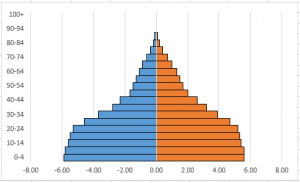 How to Build a Population Pyramid in Excel - Population Education