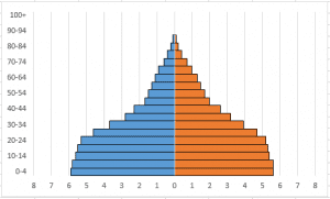 How to Build a Population Pyramid in Excel - Population Education