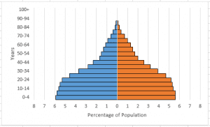 How to Build a Population Pyramid in Excel: Step-by-Step Guide ...
