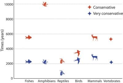 What is Background Extinction Rate and How is it Calculated?