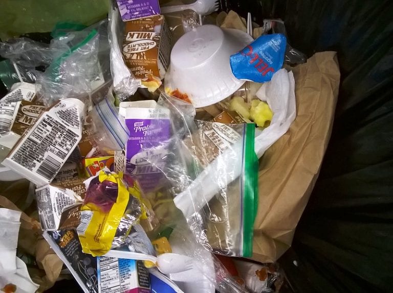 Want a Green Classroom? Follow These Expert Tips for Reducing Waste ...