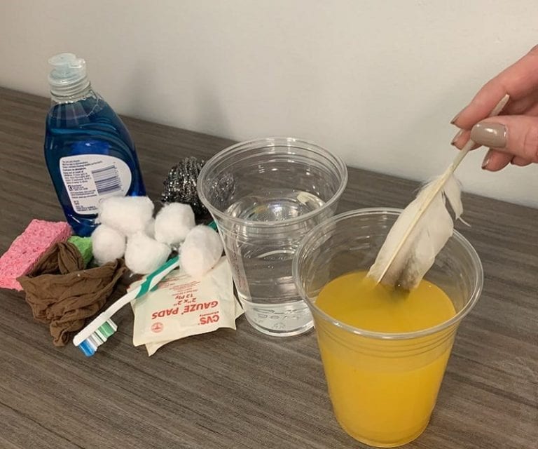 Developing & Using Models | NGSS - Population Education