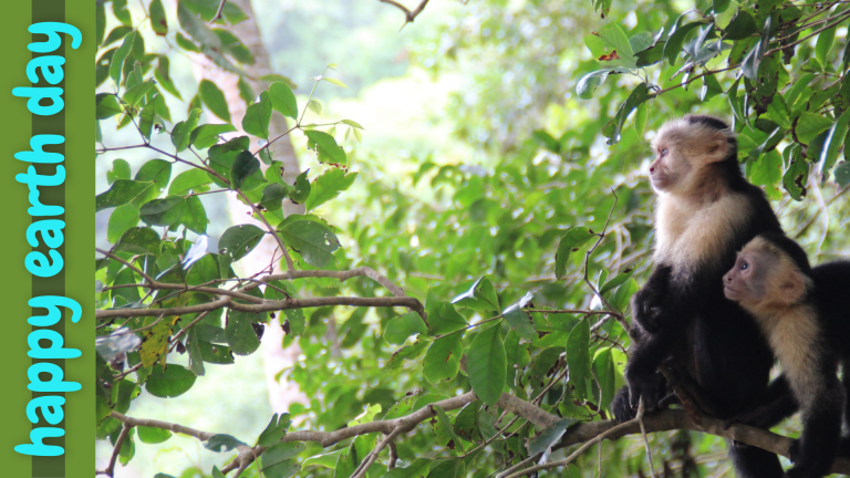 Earth Day Zoom Background - Population Education