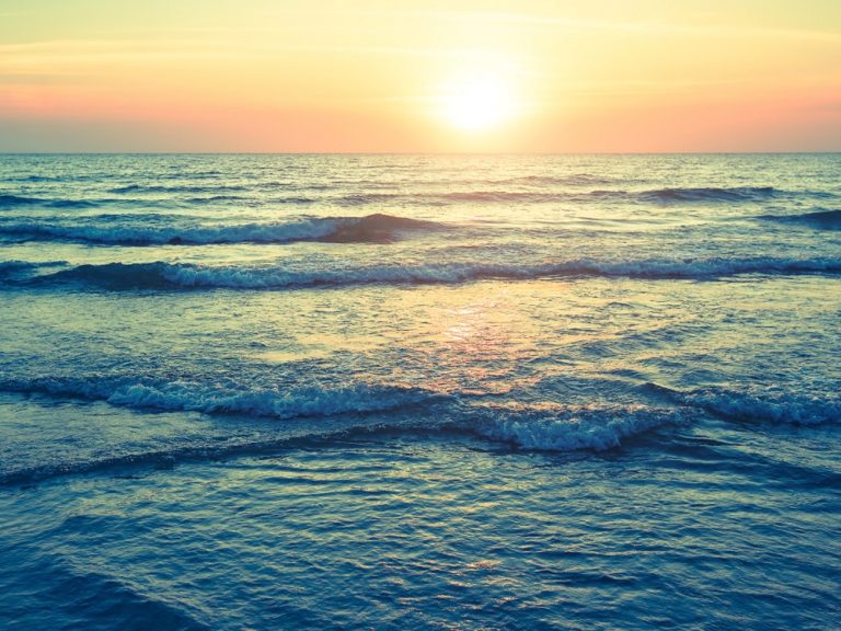 Oceans unit - Population Education