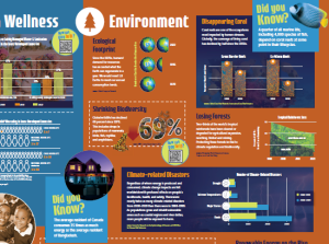 Population Poster Scavenger Hunt for High School Classes