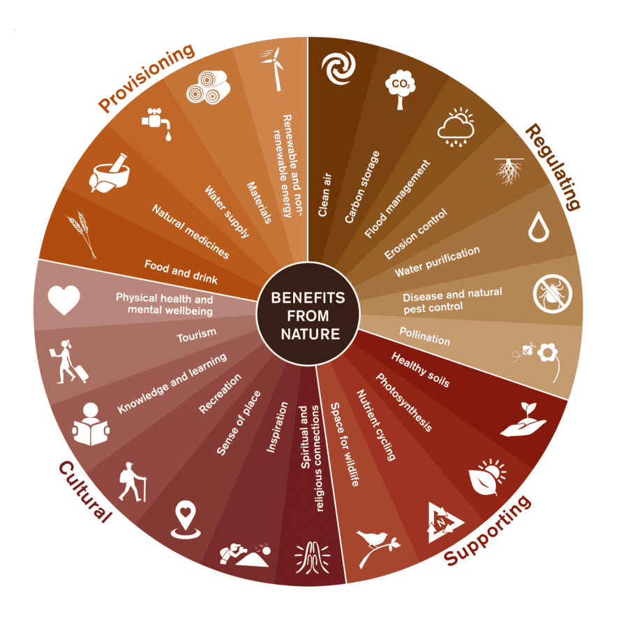 What are Ecosystem Services and What Do They Do? - Population Education