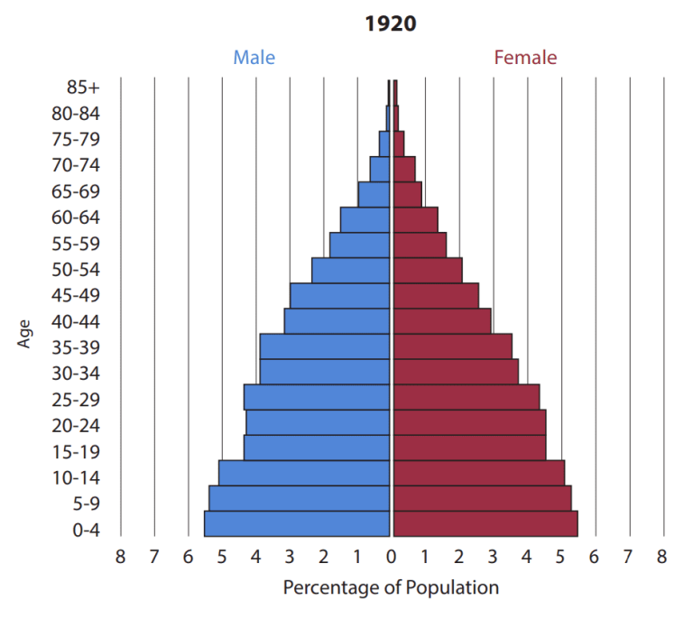 U.S. Population Pyramids Over Time - Population Education