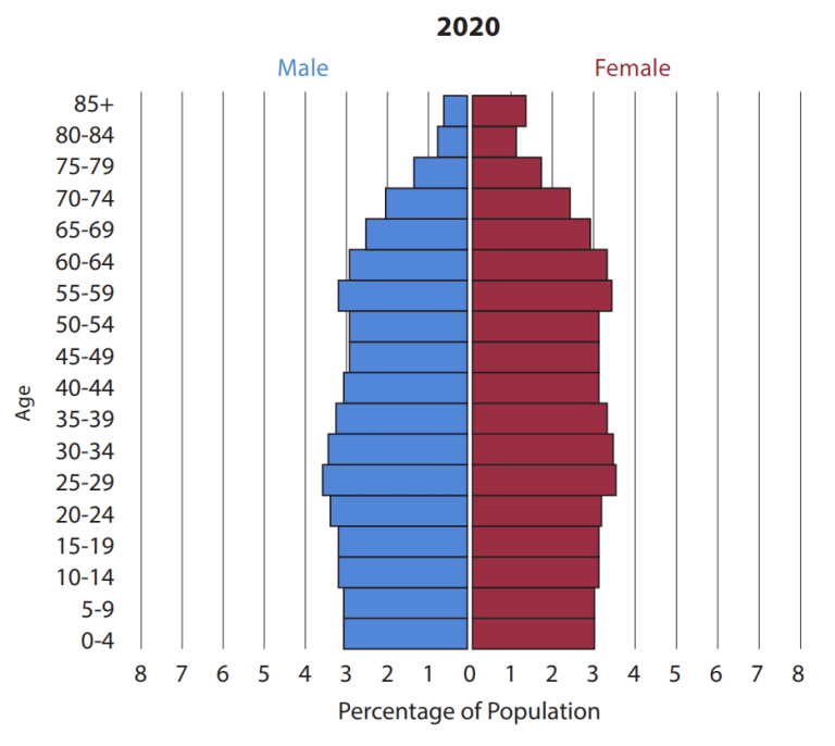 U.S. Population Pyramids Over Time - Population Education