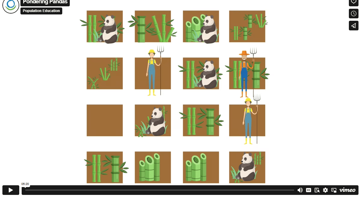 Pondering Pandas & Habitat Fragmentation | Video Lesson Plan